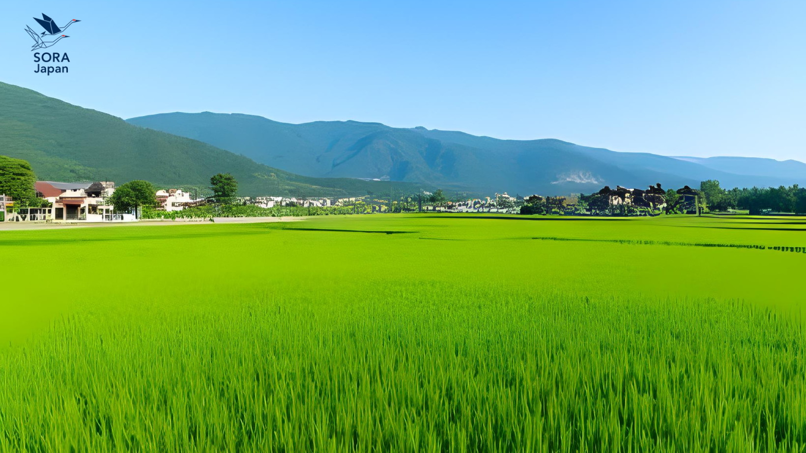 SORA Japan